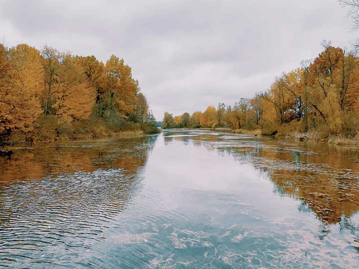 Budget proposal call for free lifetime access to Michigan parks for ...